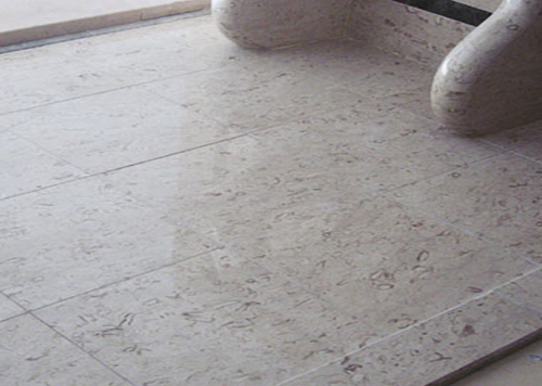 Crema Perla Limestone - Turkish Limestone Species