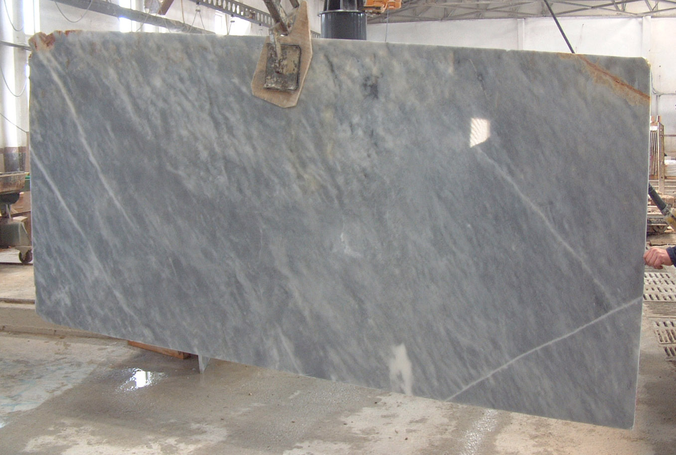Turkish Marble Species