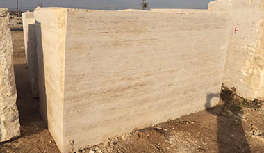 Turkish Travertine Species